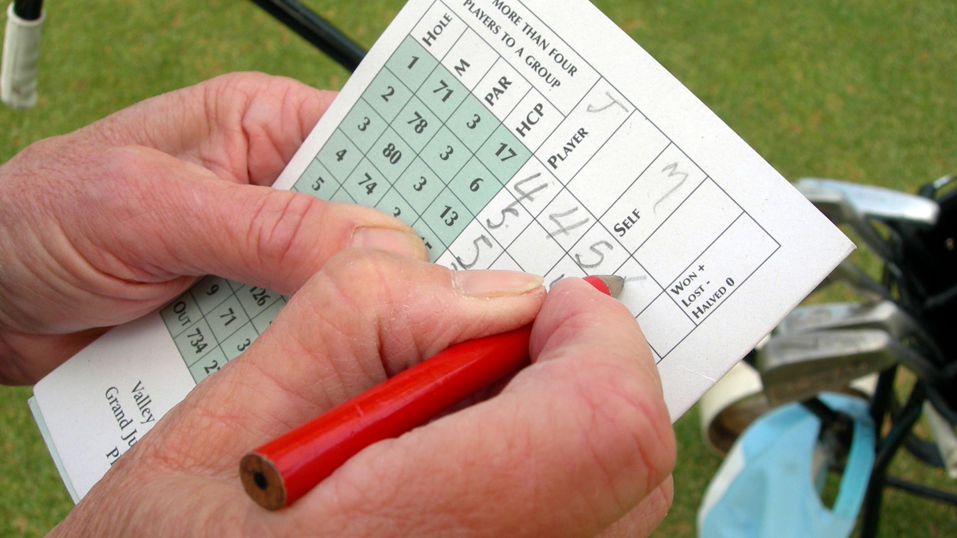 Jesus Luigi Sison | Web Developer | Software QA